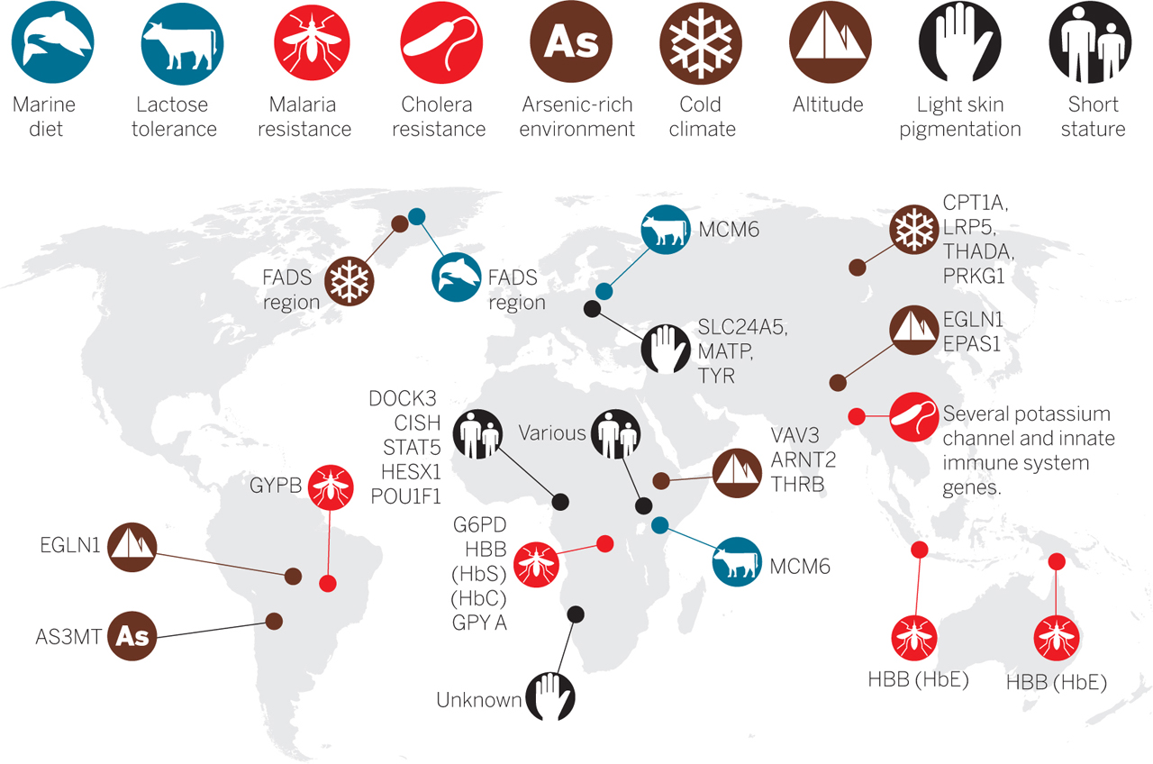 Yet another misguided attempt to revise evolution – Why Evolution Is True