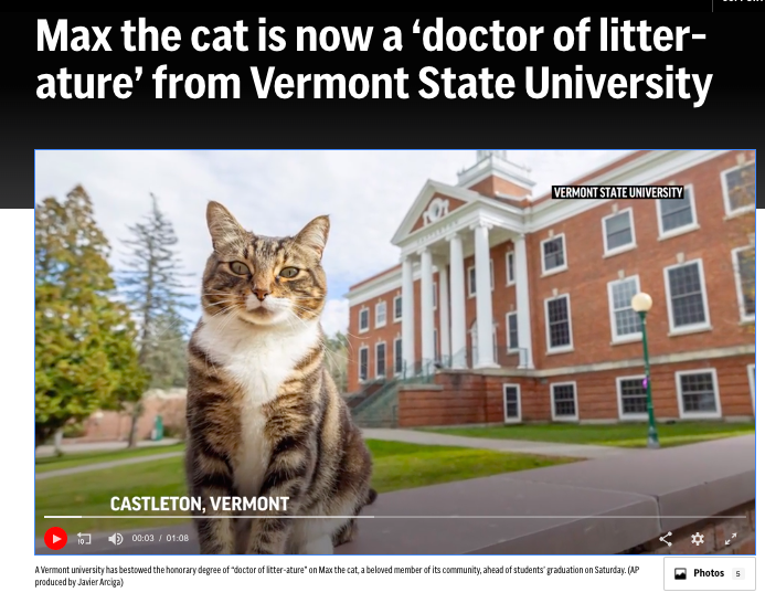 Caturday felid trifecta: Cat rescue in Ukraine; Max the Cat gets an ...