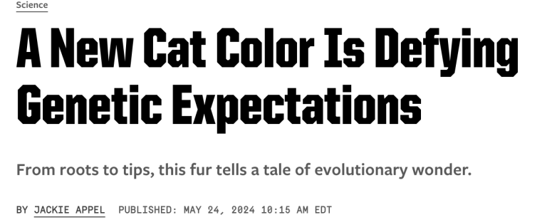 Caturday felid trifecta: A new color of cat coats; cats with jobs; the ...