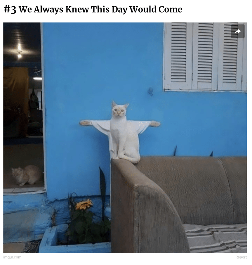 Caturday felid trifecta: Shrine honors felids on a Japanese “cat island ...