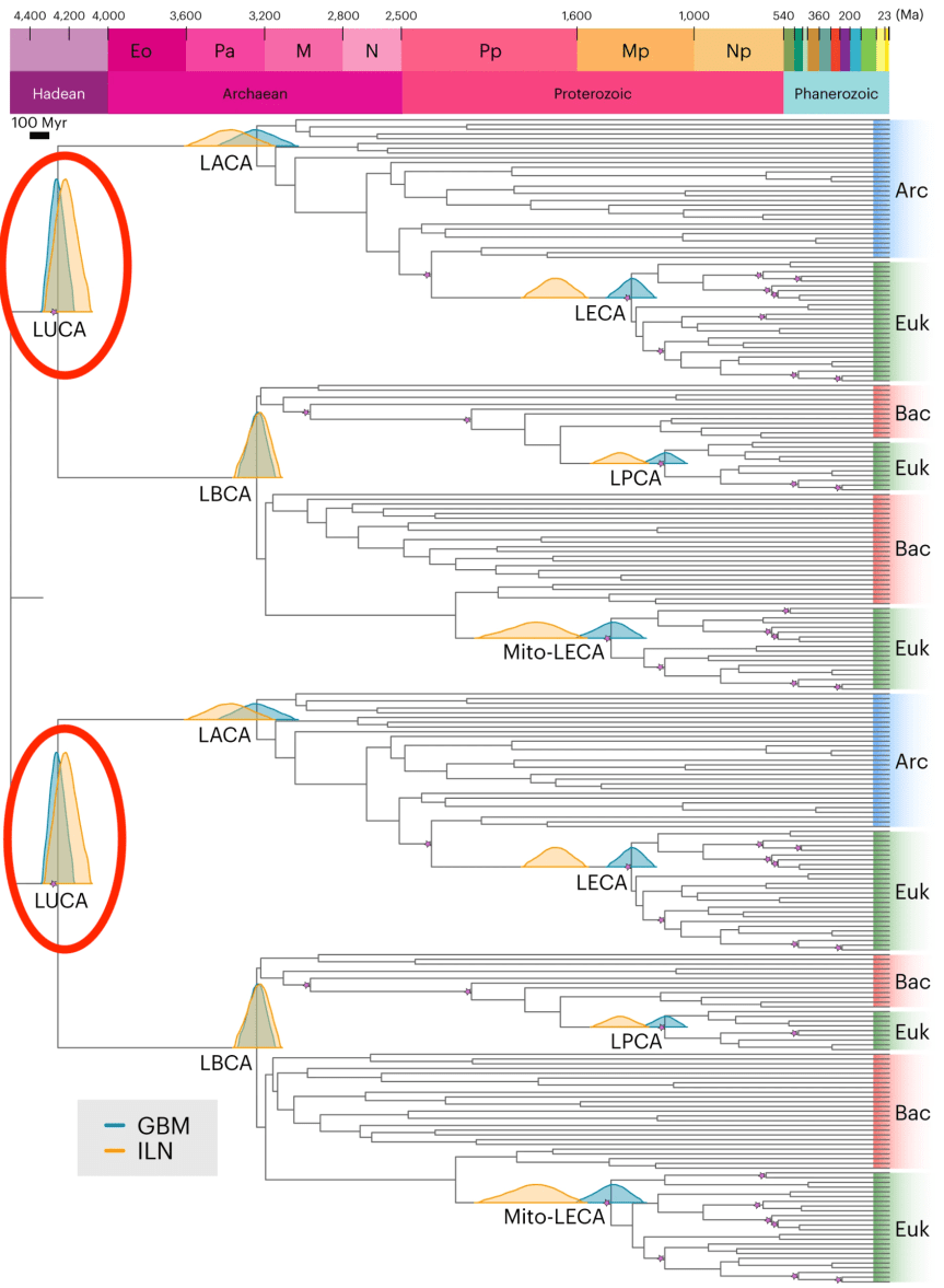 New paper puts the “last universal common ancestor”: the creature that ...