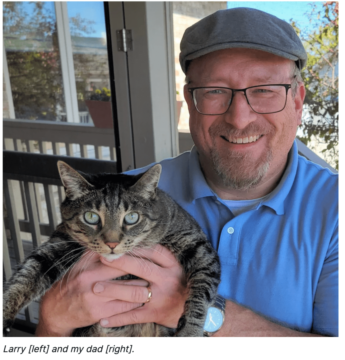 Caturday felid trifecta: Larry, the world’s most-cited cat; testing a ...