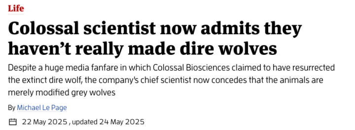 Colossal Biosciences is still pretending it’s “de-extincted” the dire ...