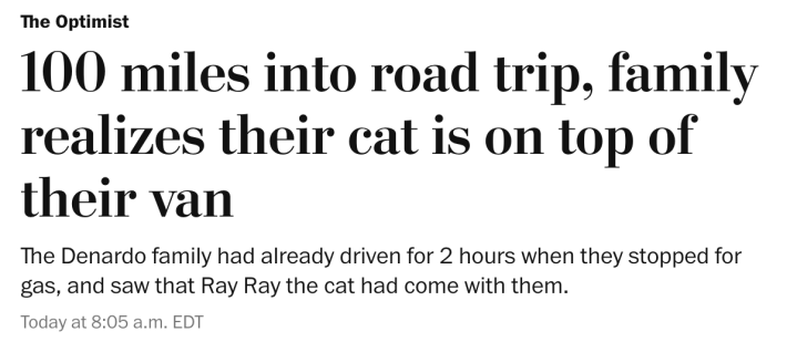 Caturday felid trifecta: Cat sits on top of van for 100 miles of road ...